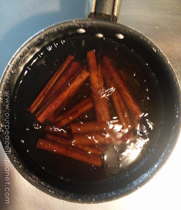 Its Easy To Make Cinnamon Oil Our Peaceful Planet