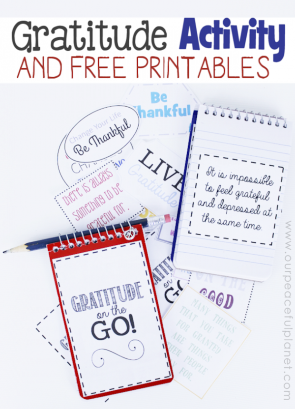 Gratitude On the Go! A Fun Gratitude Activity – Craft Your Happiness