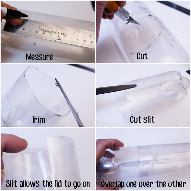 Make a Plastic Bottle Family Time Capsule (Free Printables!) – Craft ...