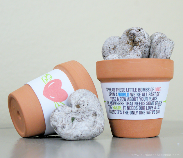DIY Heart Shaped Wildflower Seed Bombs – Craft Your Happiness