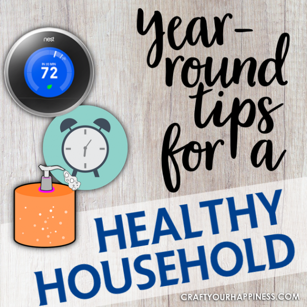 How to Have a Healthy Home Environment – Craft Your Happiness