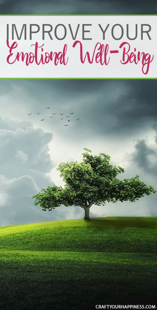 Improve Your Emotional Well-Being – Craft Your Happiness