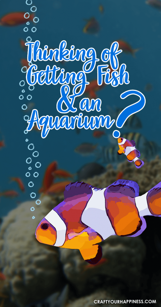 Tips if Your Thinking of Getting Fish and an Aquarium