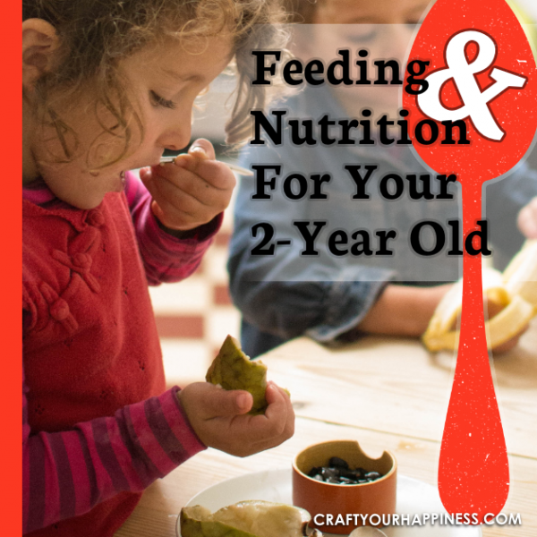 Feeding and Nutrition Tips for Your 2 Year Old