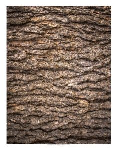 Artificial Christmas Tree Trunk Cover (printable!) – Craft Your Happiness